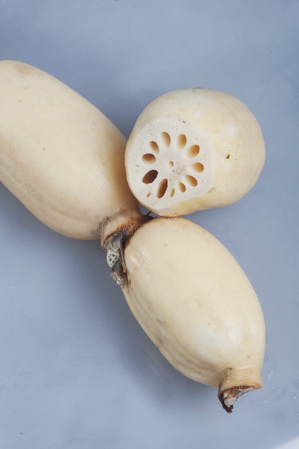 Lotus root on white table stock image. Image of focus - 104042531
