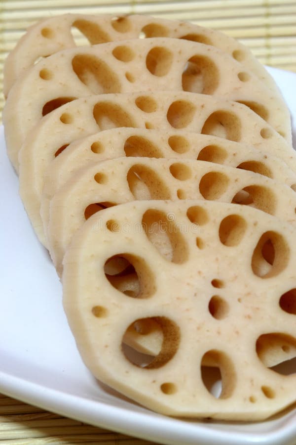 Lotus Roots stock image. Image of lotus, edible, meals - 13442921