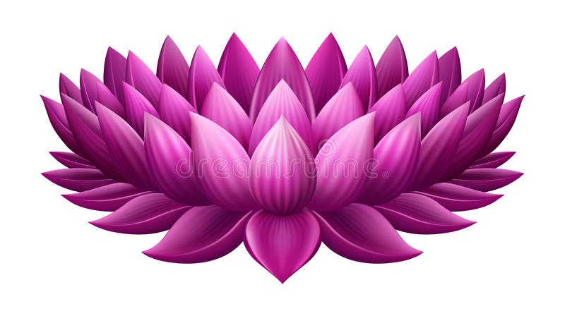 Lotus rose simple illustration de vecteur. Illustration du lotus - 67623760