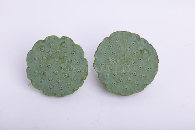 Lotus seeds stock image. Image of asia, agriculture, macro - 52330119