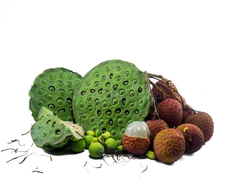 955 Lotus Flower Fruit Pod Stock Photos - Free & Royalty-Free Stock ...