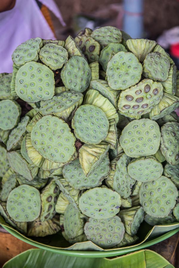 Lotus stock photo. Image of market, eating, lotus, streetfood - 42520562