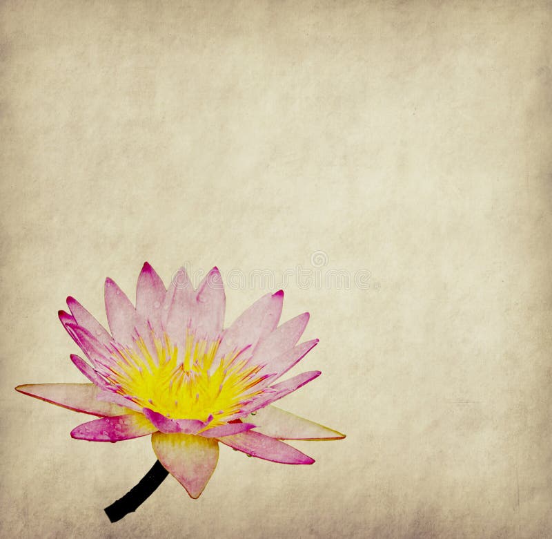 Lotus with Set of Abstract Painted Stock Illustration - Illustration of ...