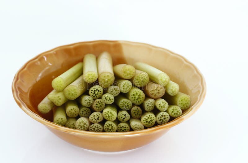 Lotus stem stock image. Image of floret, biology, east - 82682865