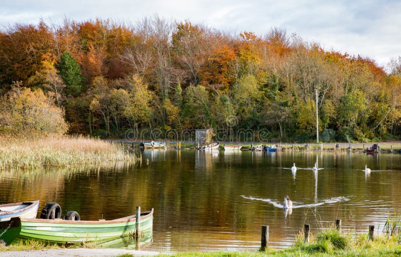 Lough Ennell Dawn stock foto. Image of najaar, buiten - 6988090