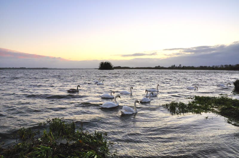 Lough Ennell stock image. Image of lake, ireland, eire - 7137921