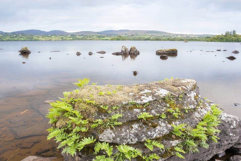 Lough Eske stock photo. Image of powell, reflection, fern - 47209516
