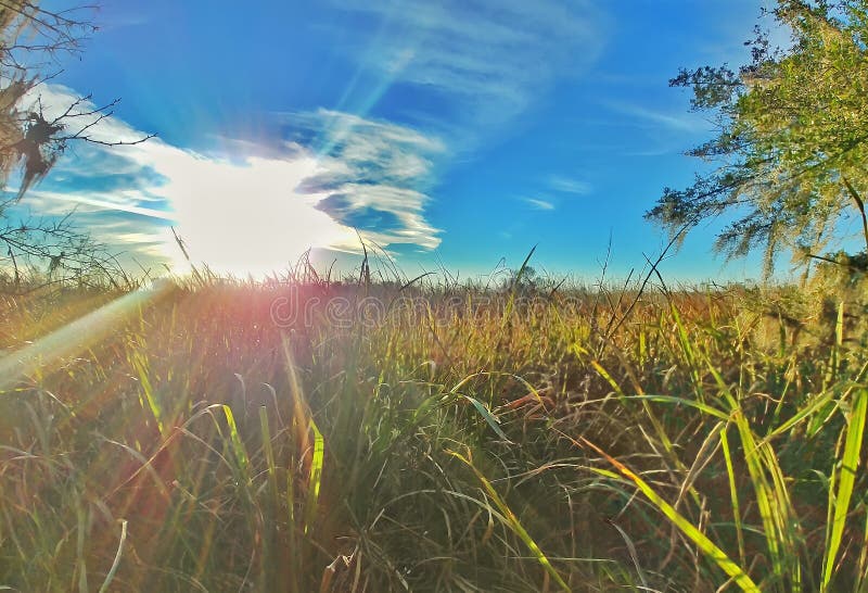 Louisiana Marsh at Sunset stock image. Image of clouds - 244765673