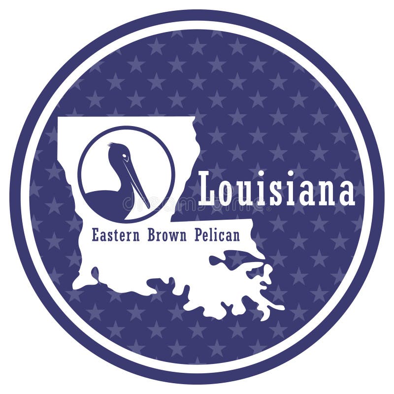 Louisiana State Map with Eastern Brown Pelican. Vector Illustration ...