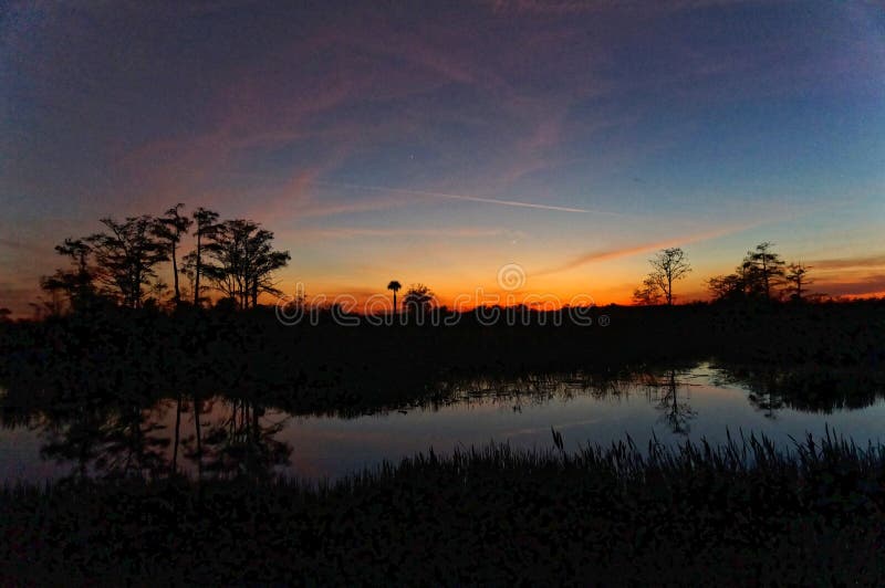 Louisiana Swamp Sunset Silhouette and Reflections Stock Image - Image ...