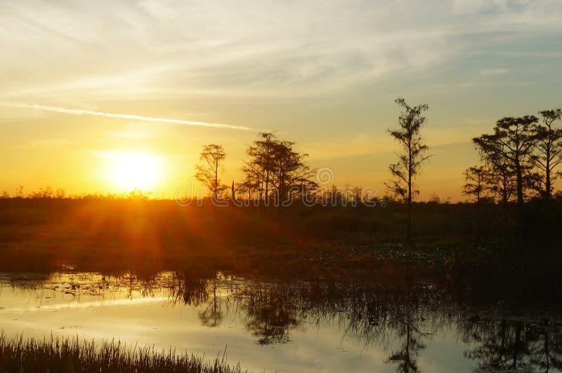 Sun Setting on the Marsh stock photo. Image of idyllic - 92853380