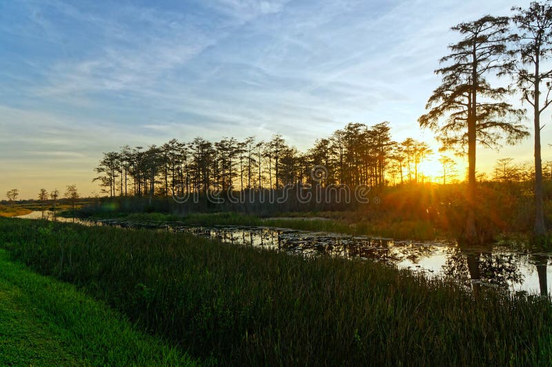 Sun Setting on the Marsh stock photo. Image of idyllic - 92853380