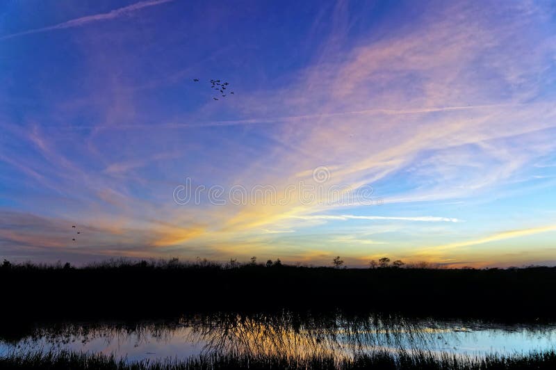 Louisiana Swamp Sunset Silhouette and Reflections Stock Photo - Image ...