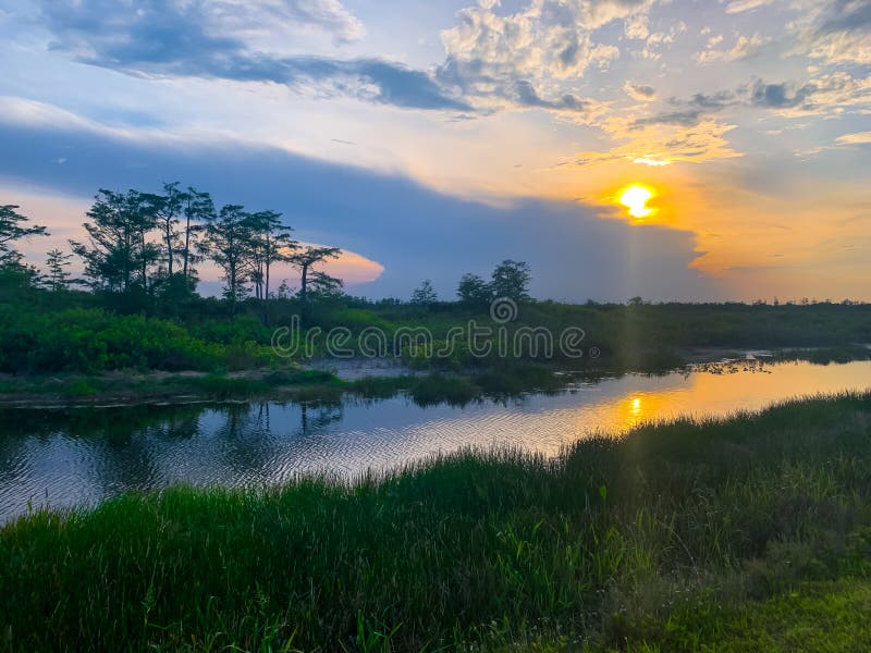 Louisiana Swamp Sunset Silhouette and Reflections Stock Photo - Image ...