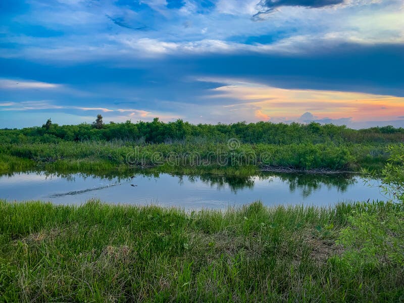 Louisiana Swamp Sunset Silhouette and Reflections Stock Photo - Image ...