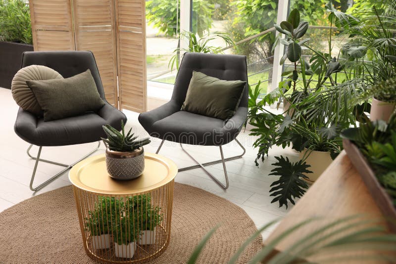 Lounge Area Interior with Comfortable Armchairs and Houseplants Stock ...