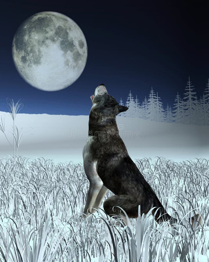 Loup Hurlant à La Pleine Lune Illustration Stock - Illustration du vide ...