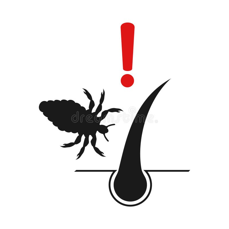Louse insect draw stock vector. Illustration of black - 167230084