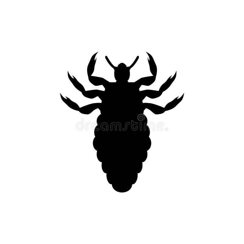 Louse insect draw stock vector. Illustration of cartoon - 230533738