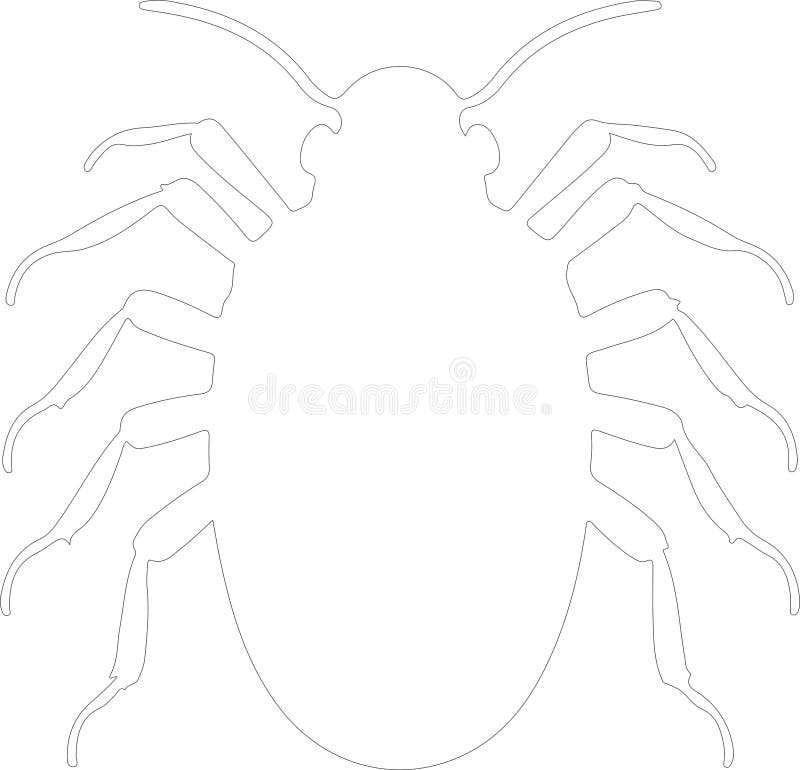 Louse Outline Stock Illustrations – 154 Louse Outline Stock ...