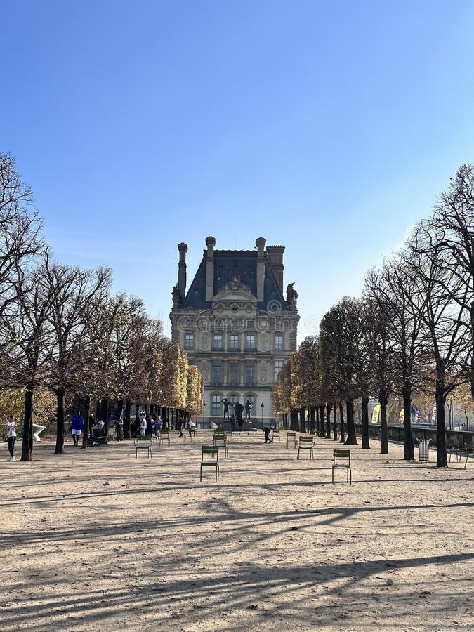 Louvre Paris with Trees Wintertime Editorial Photo - Image of louvre ...