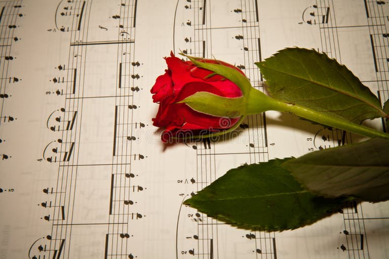 5,297 Melody Love Background Stock Photos - Free & Royalty-Free Stock ...