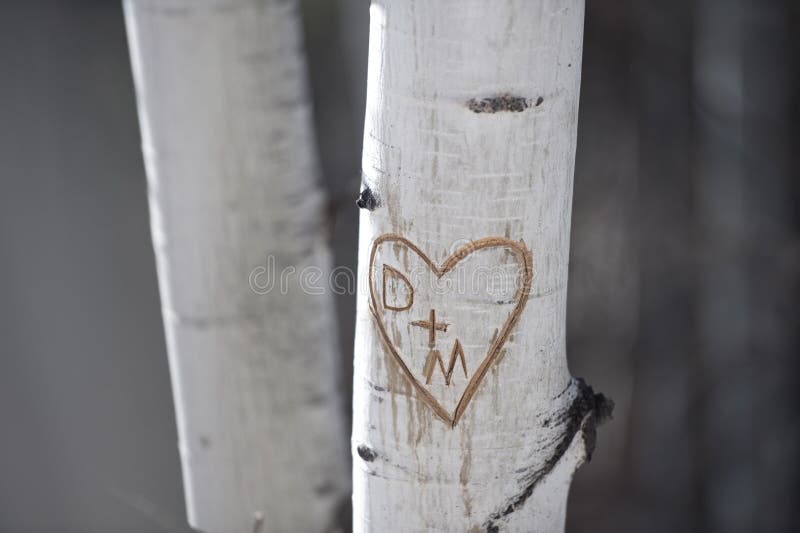 Love stock image. Image of love, outside, initials, heart - 23695255