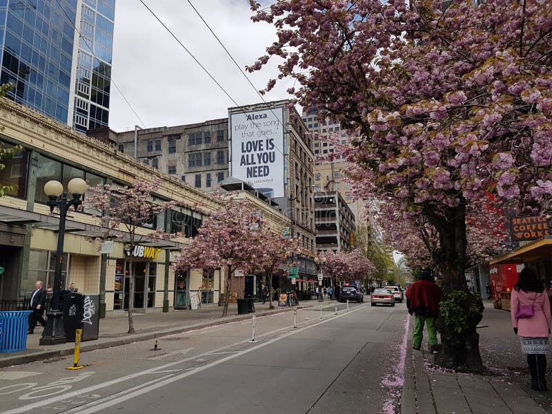 Love is all you need editorial image. Image of love, blossom - 95165560