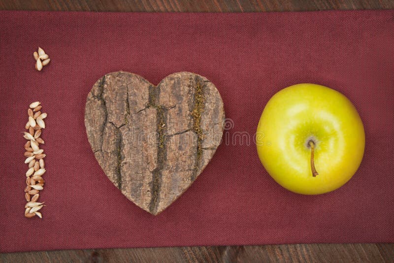 Love You Apple stock photo. Image of love, color, present - 19006714