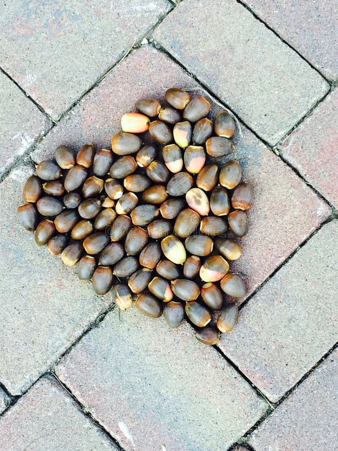 Love Autumn stock photo. Image of leaf, nature, fall - 44817878