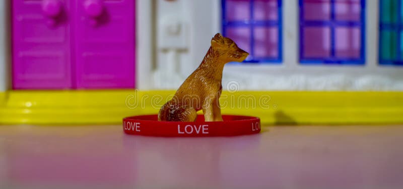 Love Band of Red Color Around a Dog Stock Photo - Image of canine ...