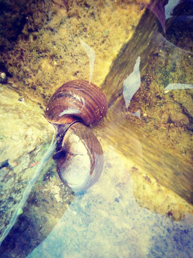 Love binds together stock image. Image of water, forever - 185371467