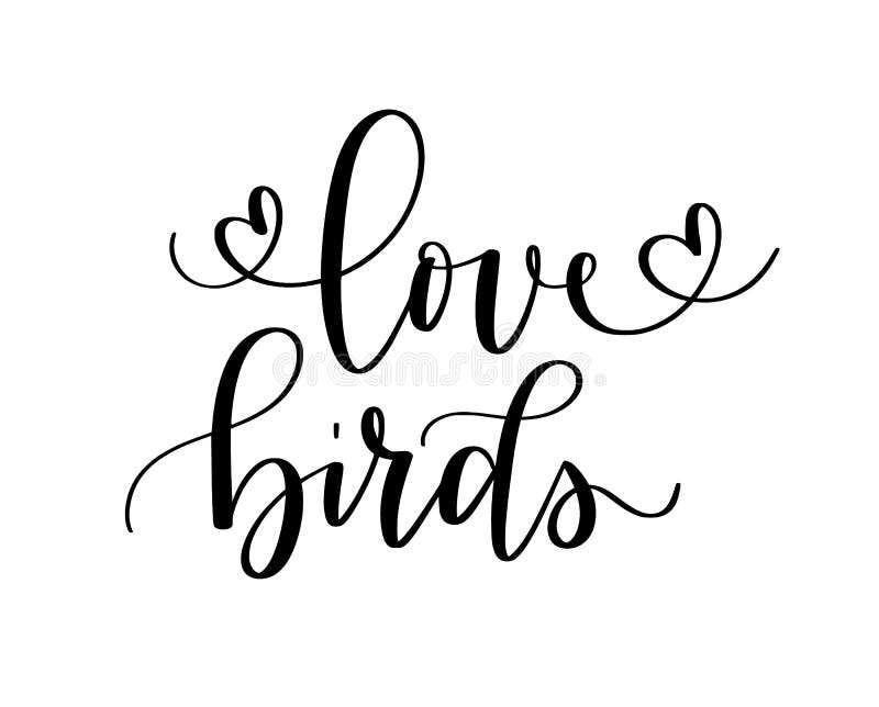 Love Birds. Cute Modern Calligraphy Romantic Doodle Stock Vector - Illustration of celebrate ...