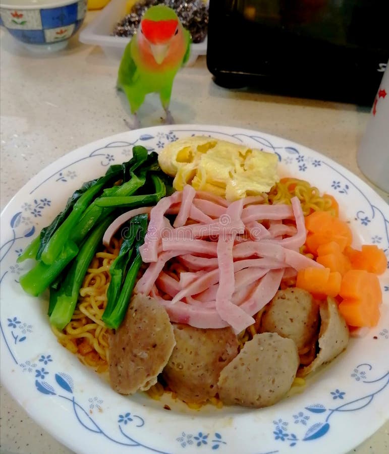 Love Birds Like Eating Noddle Stock Photo - Image of birds, like: 262834566