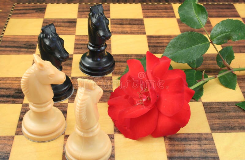 Love for chess stock photo. Image of participate, leisure - 1007030