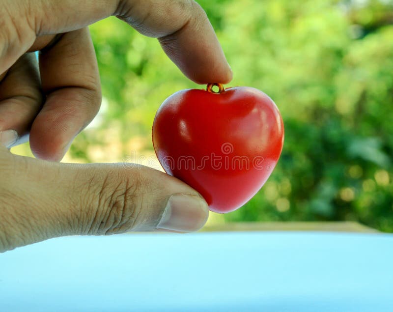Love Concept, Hand Save Love Concept Stock Image - Image of fruit, hold ...