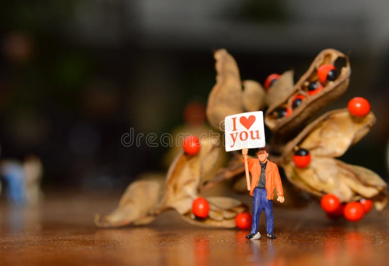 Love Concept of Mini Figure Bring a Text Stock Image - Image of holiday ...