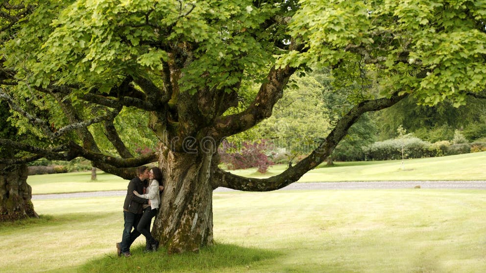 Love couple in park stock image. Image of outdoor, tree - 29076637
