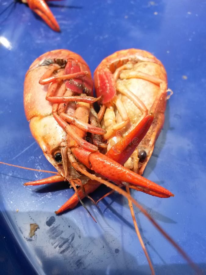 Love for Crawfish stock photo. Image of shape, heart - 53598046