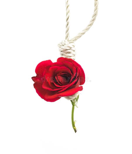 Love Death stock image. Image of black, rose, white, string - 9740045