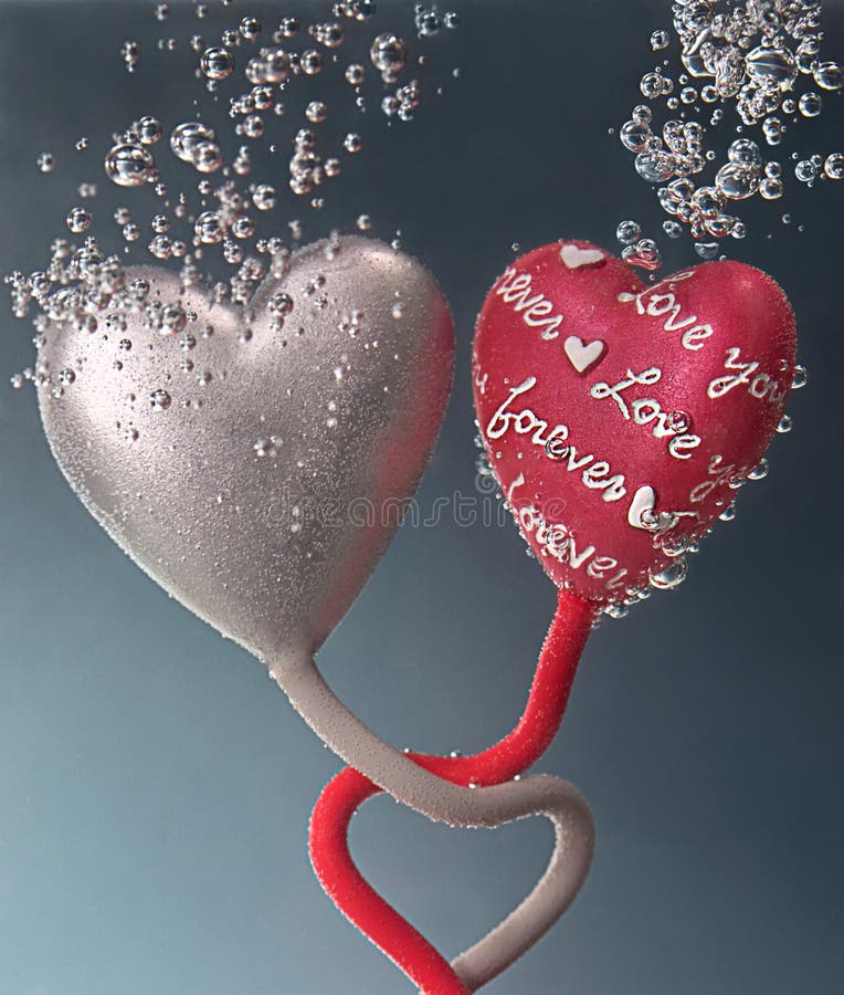 Love Forever between Two Hearts Stock Image - Image of together, heart ...