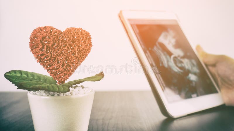 Love is Growing Flower Pregnancy Concept Stock Photo - Image of ...