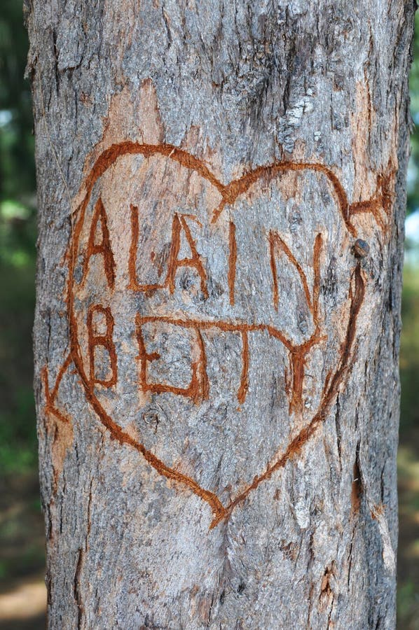 Love Heart with Message in a Tree Stock Photo - Image of passion ...