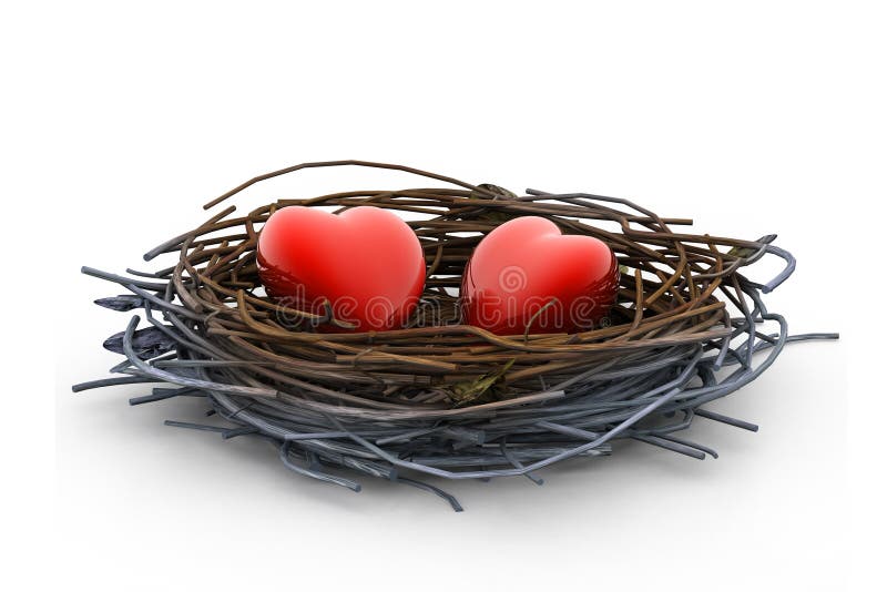 Love heart and nest stock illustration. Illustration of valentine ...