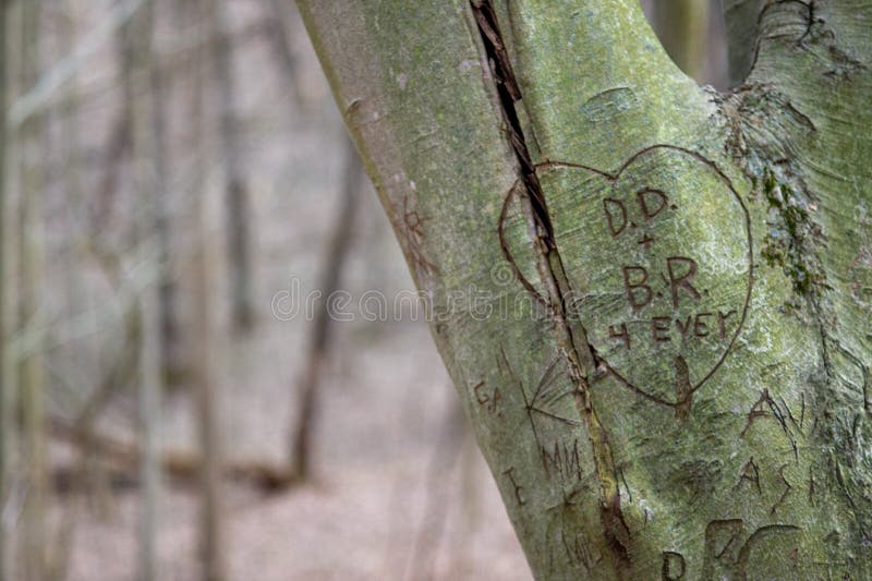 Love Initials Carved into a Tree in the Woods. Stock Image - Image of ...