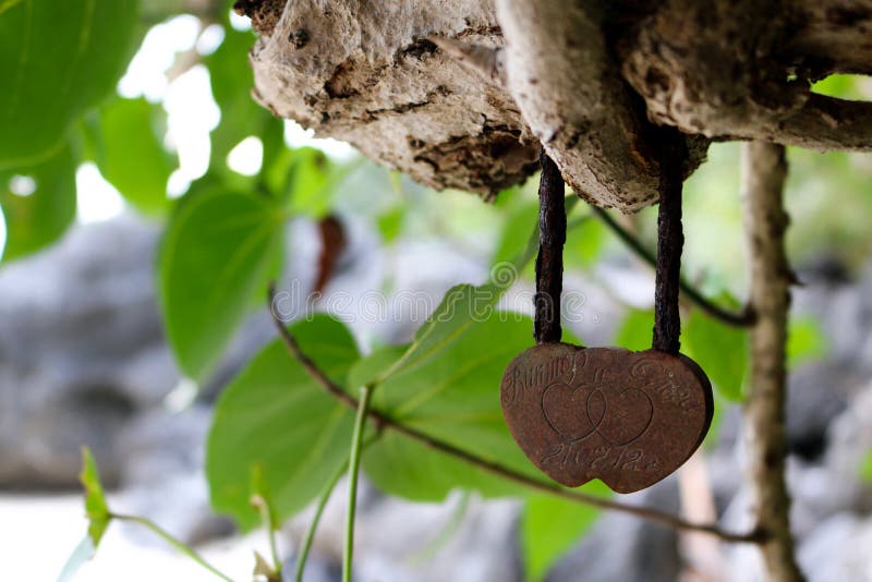 Love Key Ceremony Lock on the Tree. Stock Image - Image of wall ...