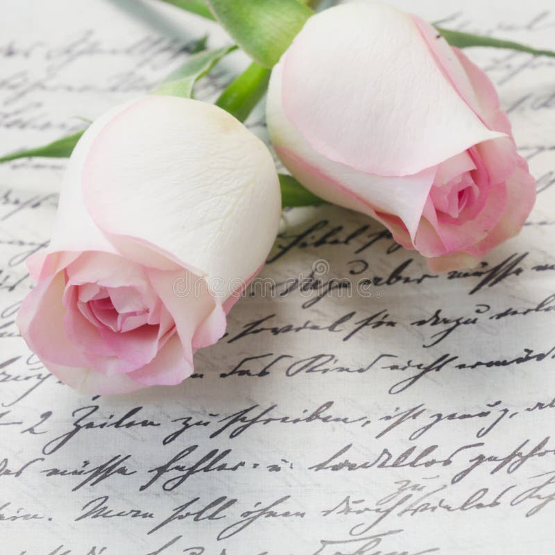 Love Letter stock image. Image of flowers, black, pink - 161594563