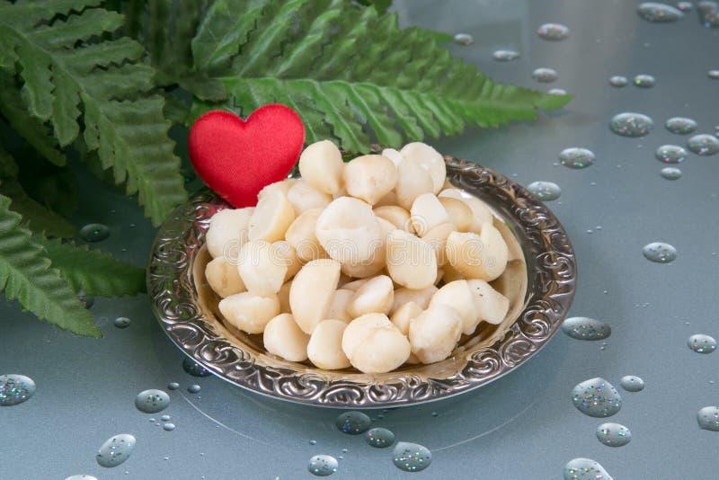 Nutson White Stock Photos - Free & Royalty-Free Stock Photos from ...