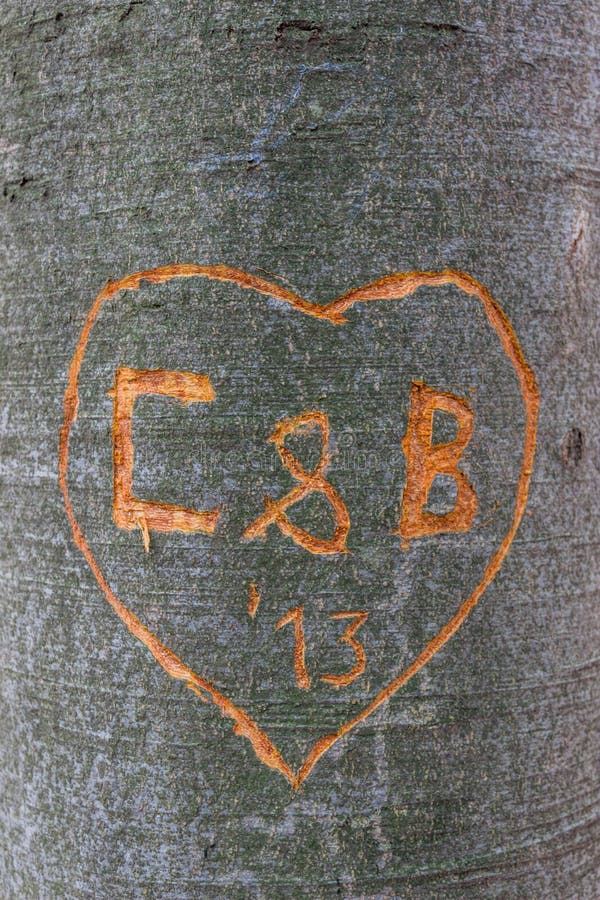 Love Message Carved into Tree 2 Stock Image - Image of hugger, cupid ...