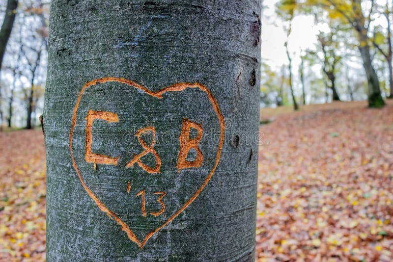 Love Message Carved into Tree Stock Image - Image of background ...